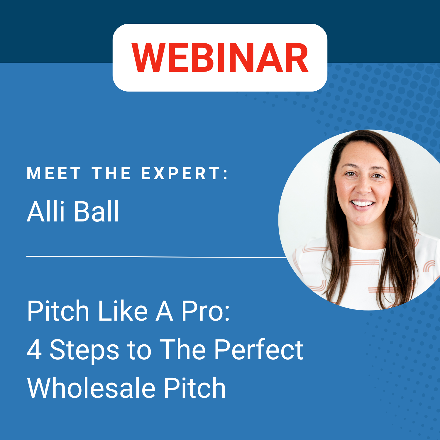 Pitch Like A Pro: 4 Steps to The Perfect Wholesale Pitch - Ben Franklin ...